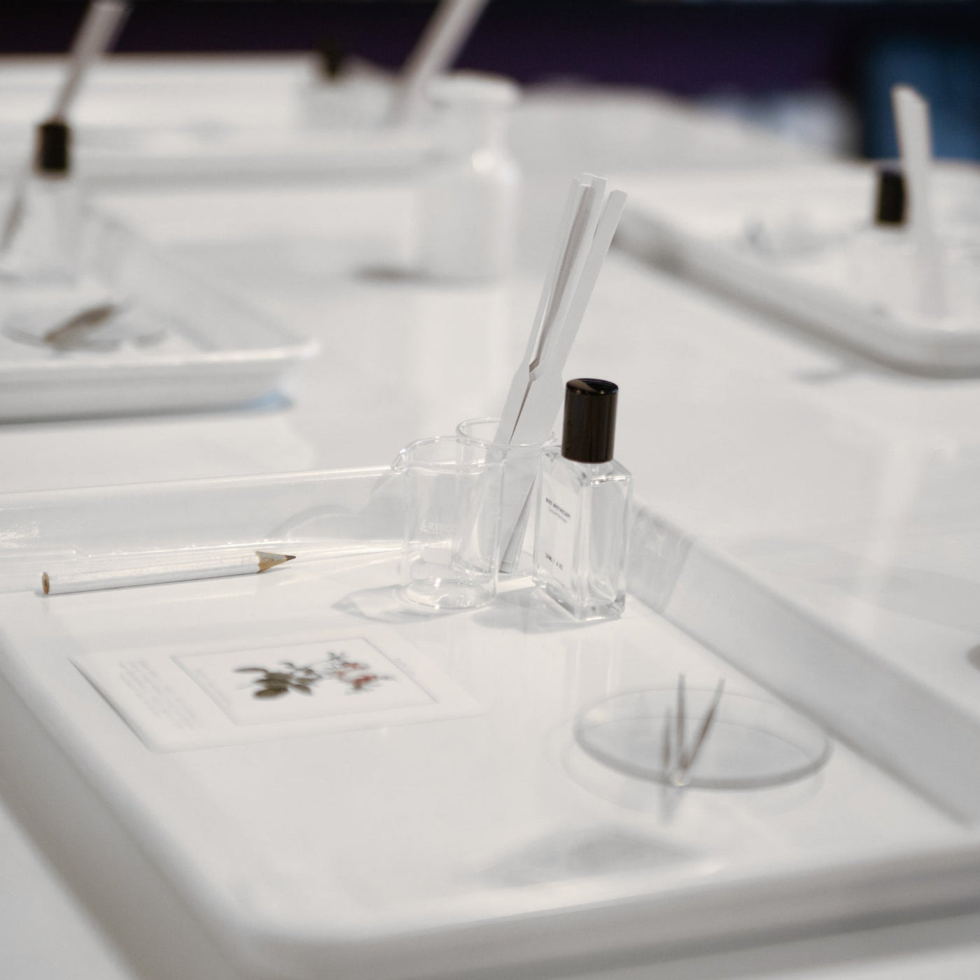 Book Your Perfume Bar Experience - Brooklyn, New York – BIOS APOTHECARY