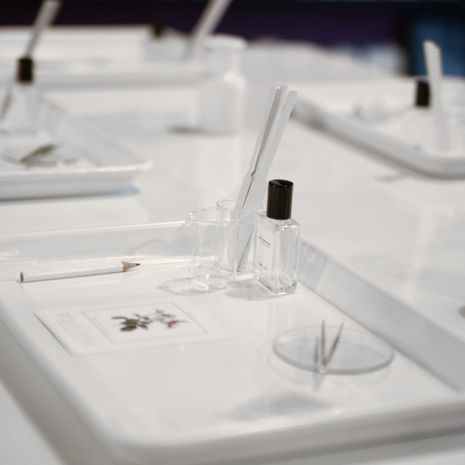 Book Your Perfume Bar Experience - Brooklyn, New York – BIOS APOTHECARY