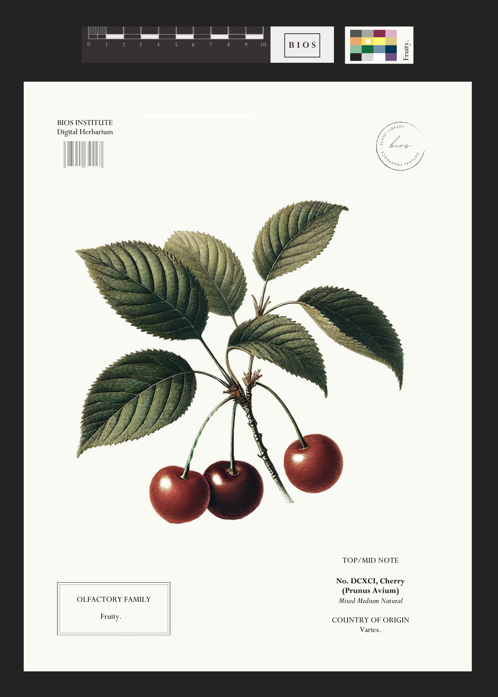 Cherry – BIOS APOTHECARY