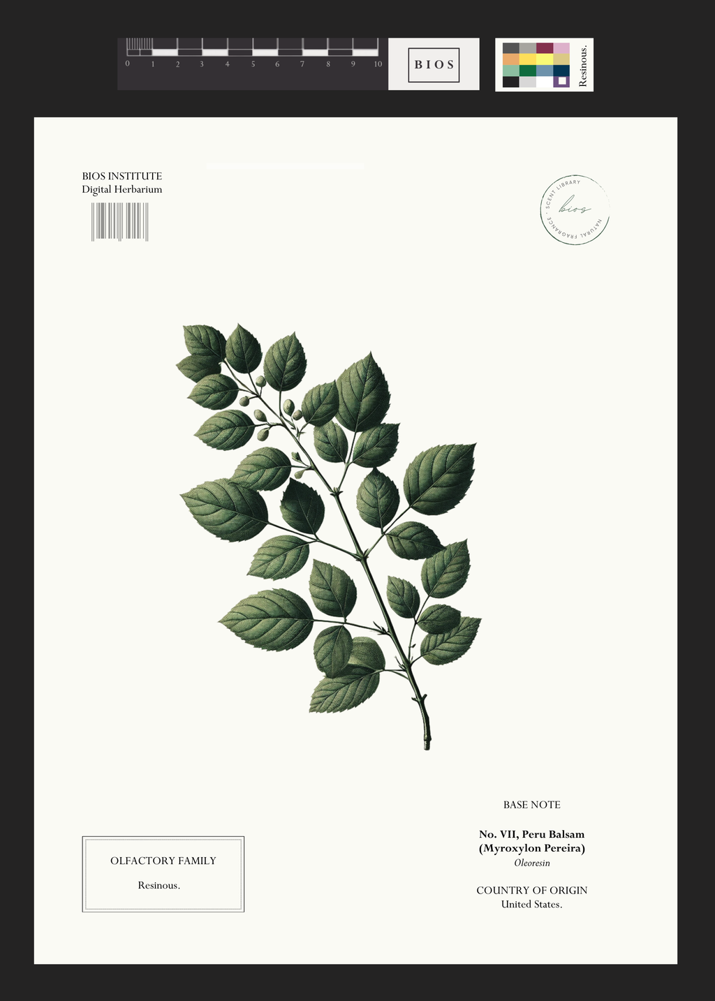 Peru Balsam – BIOS APOTHECARY