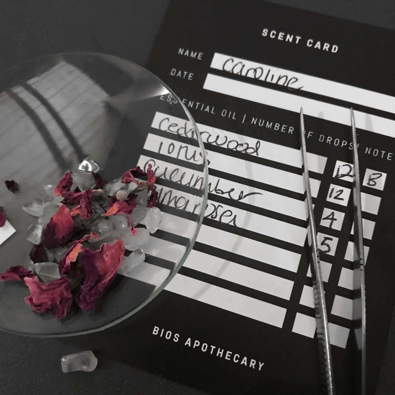 Book Your Perfume Bar Experience - Brooklyn, New York – BIOS APOTHECARY